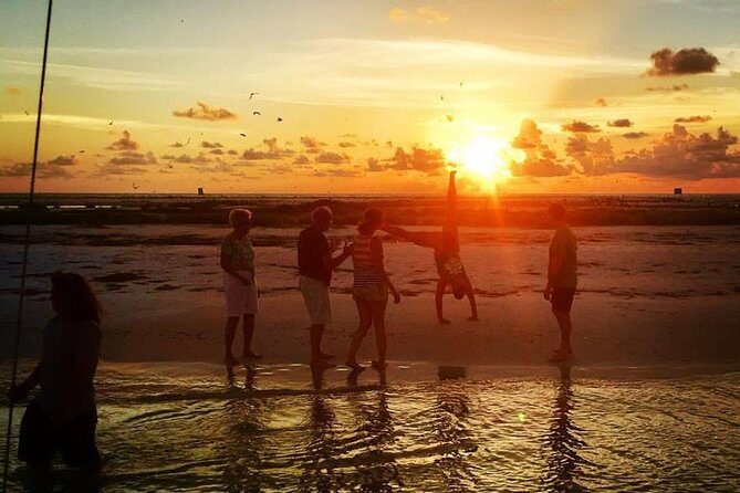 Anna Maria Island Dolphin Sunset Boat Tour - Who Will Love This Tour?