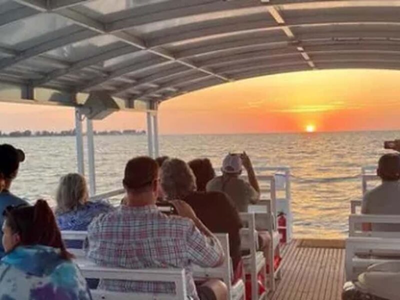 Anna Maria Island: Sunset Dolphin Cruise - What This Tour Offers and Why It Matters