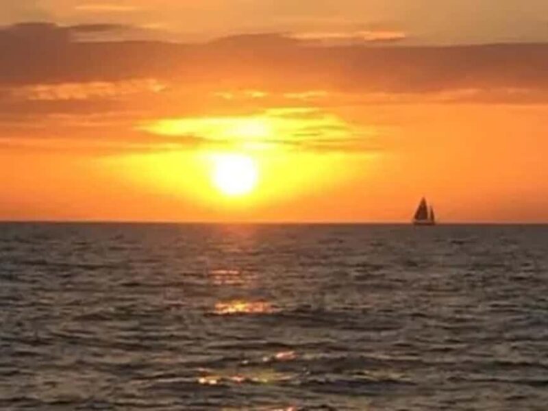 Anna Maria Island: Sunset Dolphin Cruise - FAQs