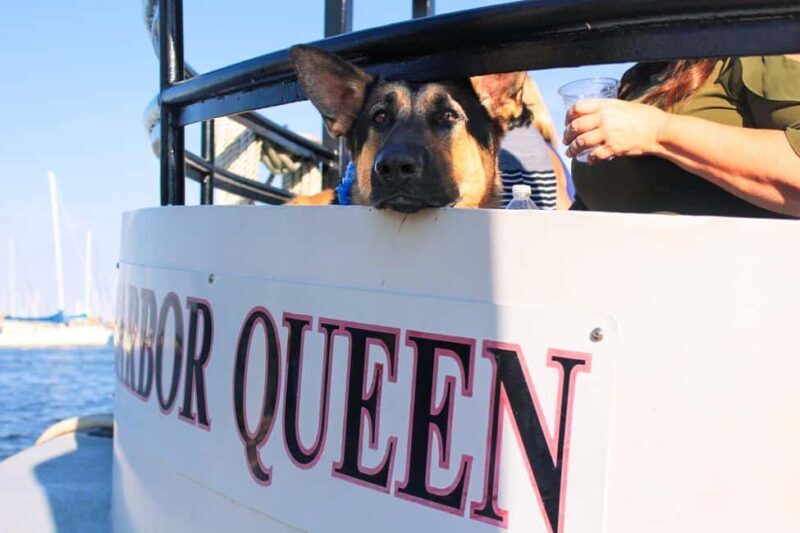 Annapolis: Annapolis Harbor and U.S. Naval Academy Cruise - Final Verdict