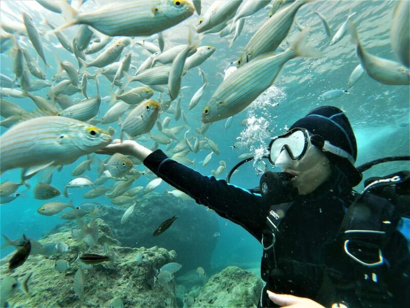 Antalya and Kemer: Full Day Scuba Diving Tour with Lunch - Introduction: What’s the Tour All About?