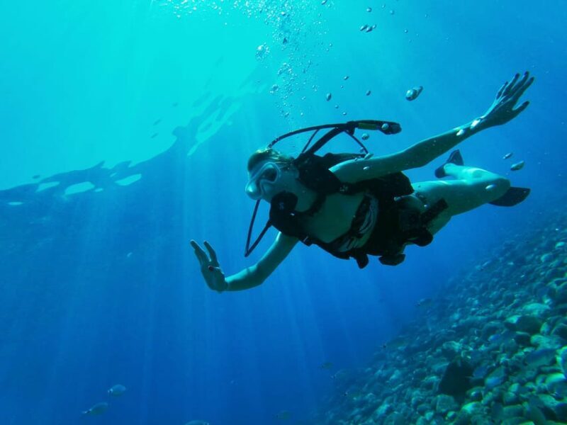 Antalya and Kemer: Full Day Scuba Diving Tour with Lunch - Who Should Consider This Tour?