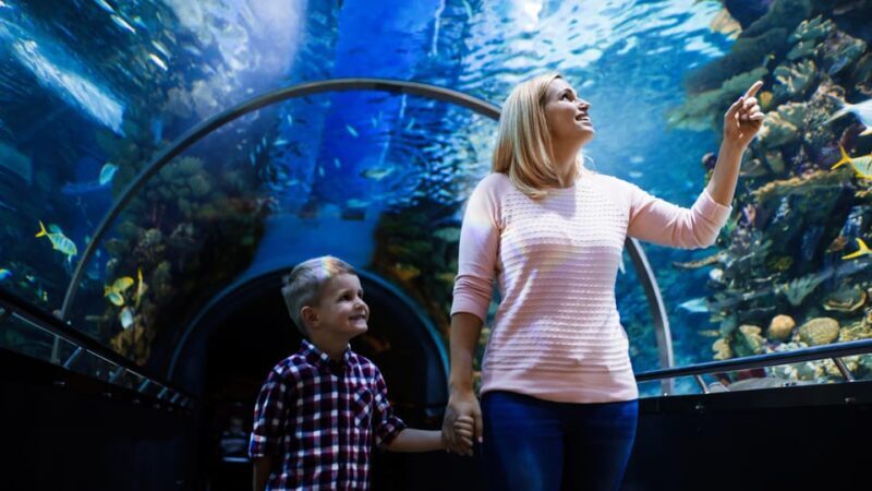 Antalya: Aquarium and Wax Museum Entry Ticket - The Experience in Detail