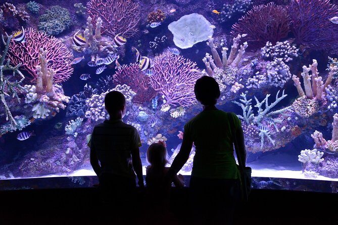 Antalya: Aquarium Ticket With Optional Transfer - An In-depth Look at the Antalya Aquarium Tour