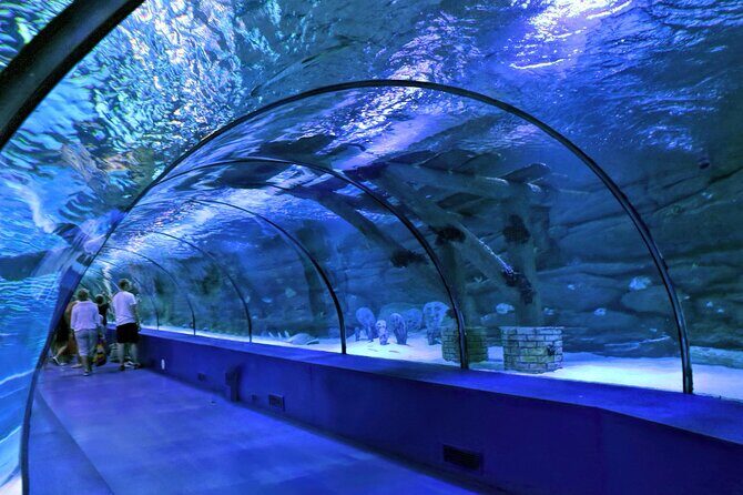 Antalya: Aquarium, Wax Museum & Combo Package Options - Introduction to the Antalya Aquarium and Wax Museum Experience