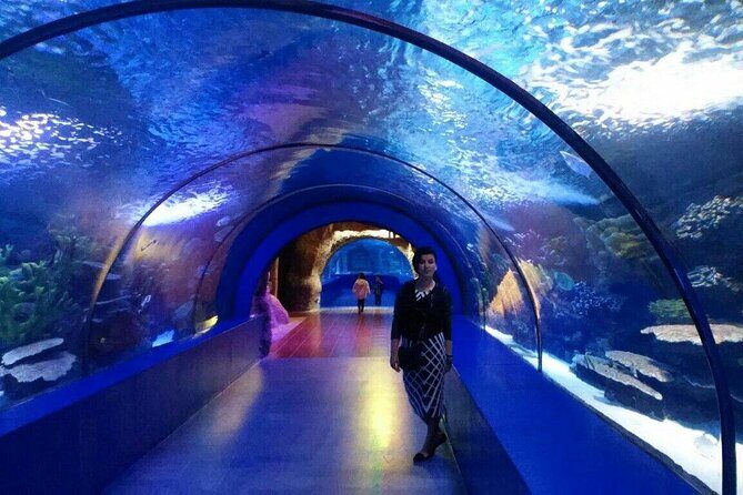 Antalya: Aquarium, Wax Museum & Combo Package Options - Final Thoughts: Who Should Consider This Tour?
