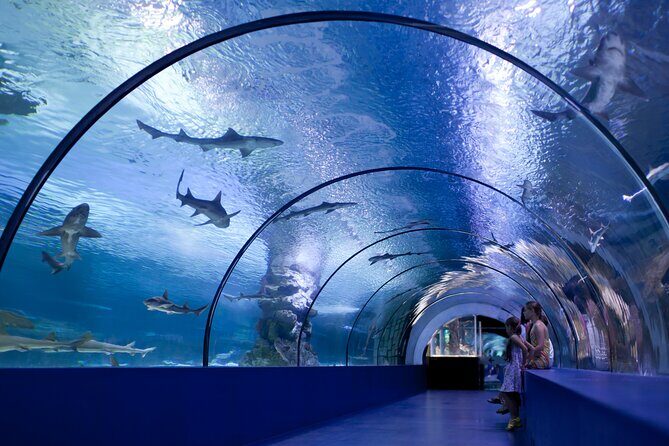 Antalya: Aquarium, Wax Museum & Combo Package Options - In Closing