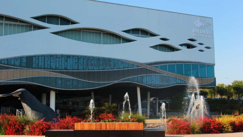 Antalya: Aquarium, Wax Museum & Combo Package Options - Exploring the Antalya Aquarium: An Underwater Journey