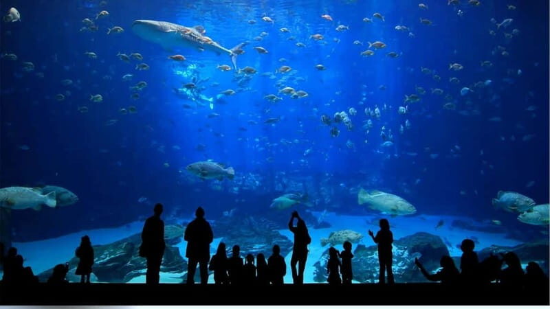 Antalya: Aquarium, Wax Museum & Combo Package Options - FAQ