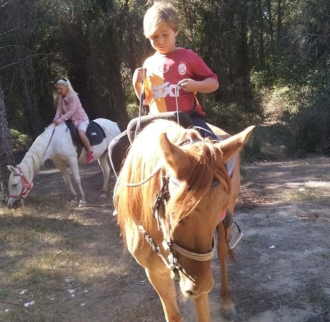 Antalya : Belek , Kundu , Horse Riding - Who Is This Tour Perfect For?