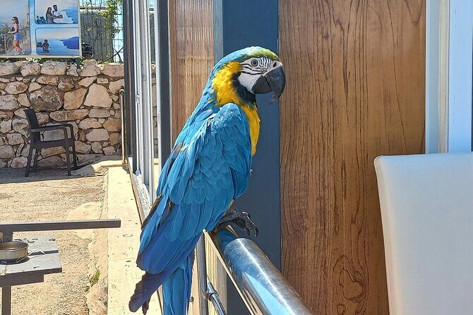 Antalya City Tour: History, Waterfalls & Old Town Charm - Who Would Love This Tour?