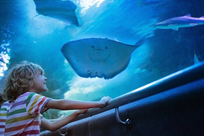 Antalya Half-Day Private City Tour with Aquarium Visit - An In-Depth Look at the Itinerary