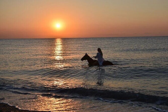 Antalya Horse Riding On Beach And Through The Forests For 2 Hours - What You Can Expect From the Horse Riding Experience