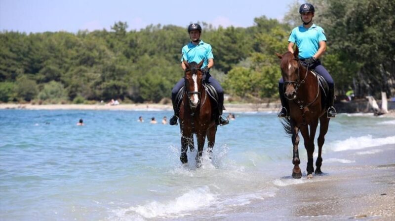 Antalya Horse Safari - What the Reviews Say: Authentic Traveler Insights