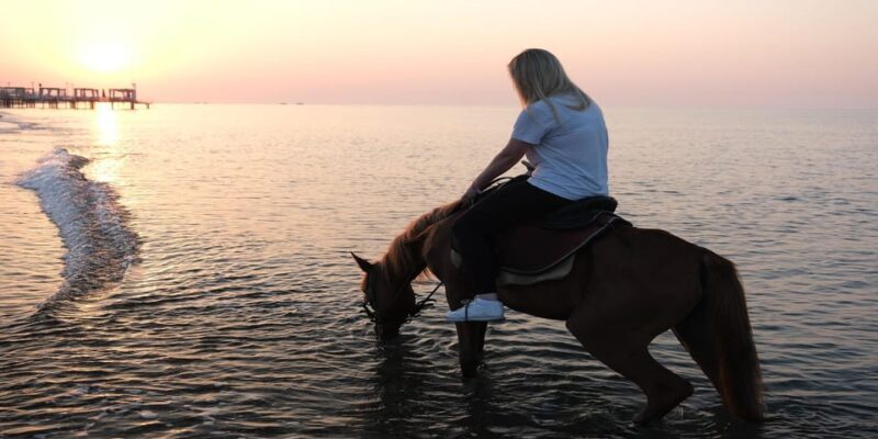 Antalya Horse Safari - The Experience in Context: Is It Worth It?