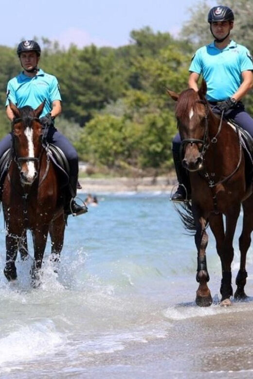 Antalya Horse Safari - Final Thoughts: Is Antalya Horse Safari Worth It?