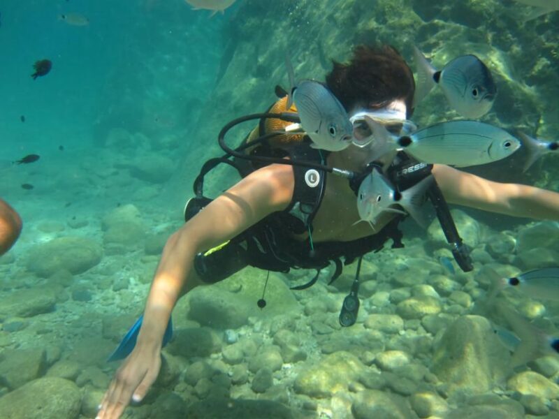 Antalya/Kemer: Scuba Diving Experience with Lunch & Pick up - An In-Depth Look at the Experience