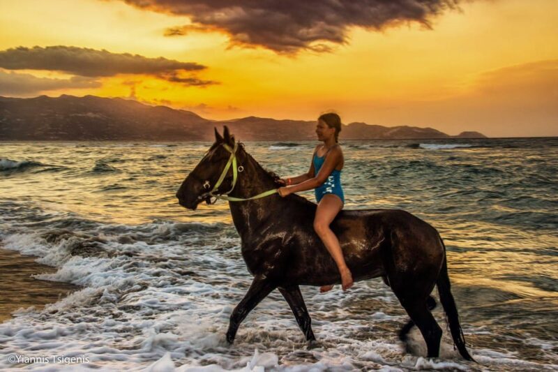 Antalya: Lara Beach & Forrest Horse Riding Safari - Introducing the Experience
