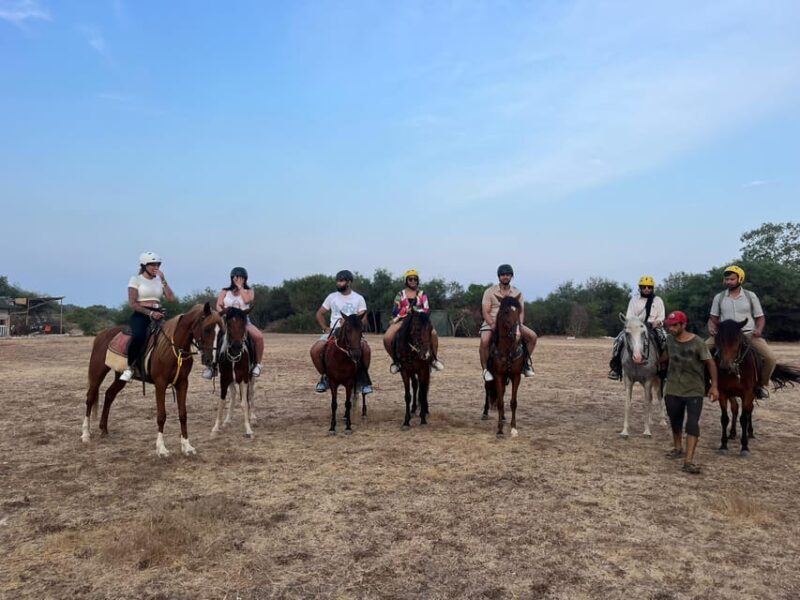 Antalya: Lara Beach & Forrest Horse Riding Safari - Authentic Experiences from Guest Reviews