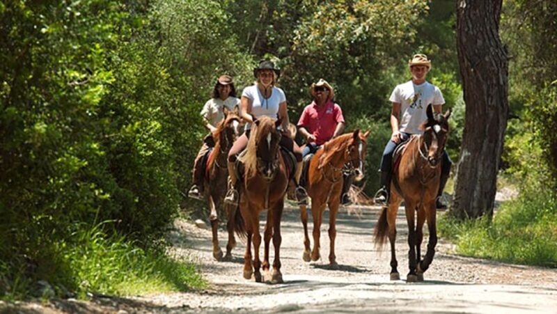 Antalya: Lara Beach & Forrest Horse Riding Safari - Final Words