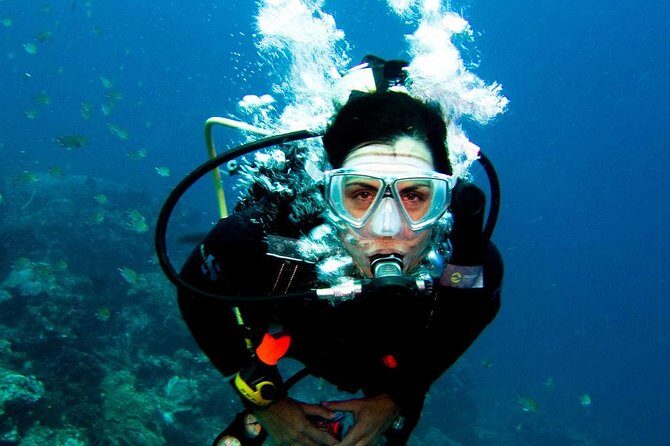 Antalya Scuba Diving at Mediterranean Sea incl. Lunch - Is This Tour Worth the Price?
