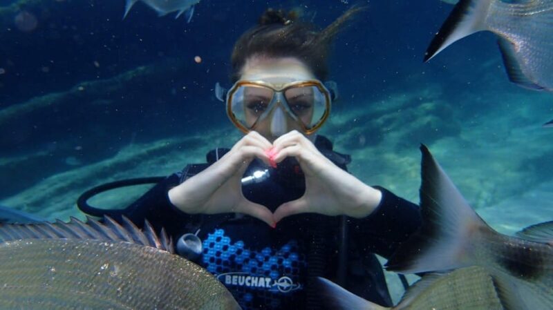 Antalya Scuba Diving Tour, With Lunch & Return Transfers - What’s Included and What’s Not  