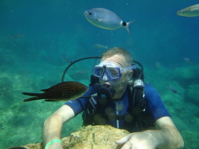Antalya Scuba Diving Tour, With Lunch & Return Transfers - Who Will Love This Tour?  