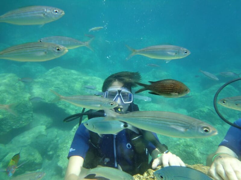 Antalya Scuba Diving Tour, With Lunch & Return Transfers - Final Thoughts: Is This Tour Worth It?  