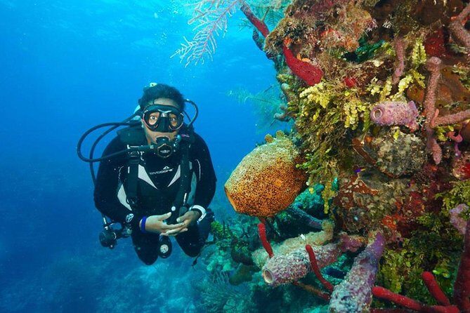 Antalya Scuba Diving W/Lunch & Transfers - Frequently Asked Questions