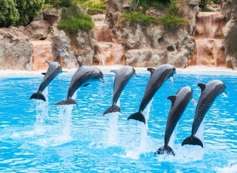 Antalya: The Land Of Legends Ticket Theme Park w/ Transfer - FAQ