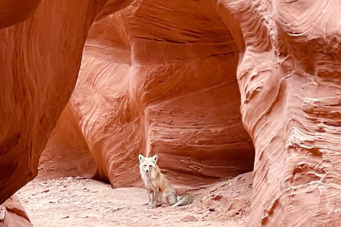 Antelope Canyon/Lake Powell Kayak Rentals: Self-Guided Adventures - What Past Participants Say