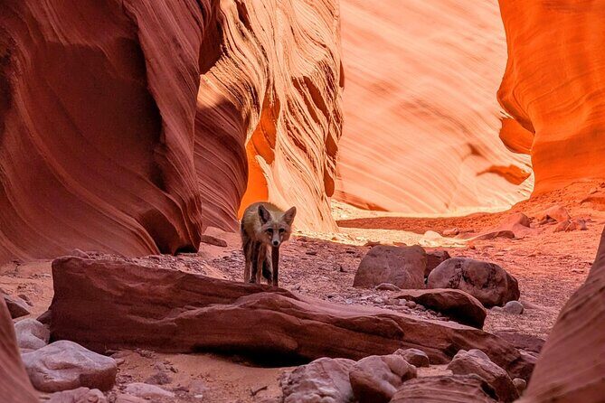 Antelope Canyon/Lake Powell Kayak Rentals: Self-Guided Adventures - Who Is This Tour Best For?