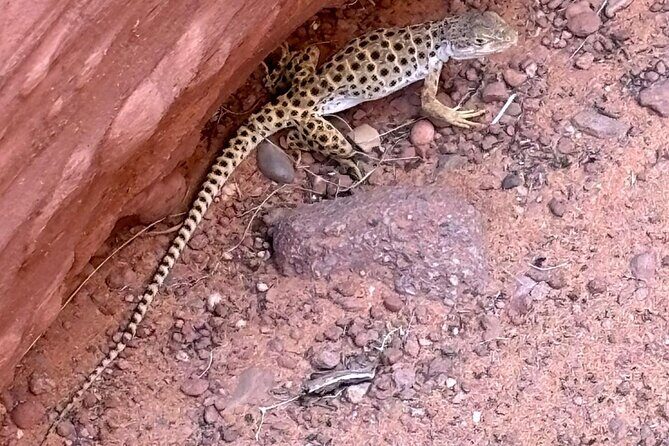 Antelope Canyon/Lake Powell Kayak Rentals: Self-Guided Adventures - The Sum Up