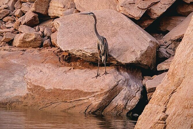 Antelope Canyon/Lake Powell Kayak Rentals: Self-Guided Adventures - FAQ