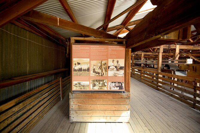 Antelope Island Wildlife Expedition Great Salt Lake Adventure - The Sum Up