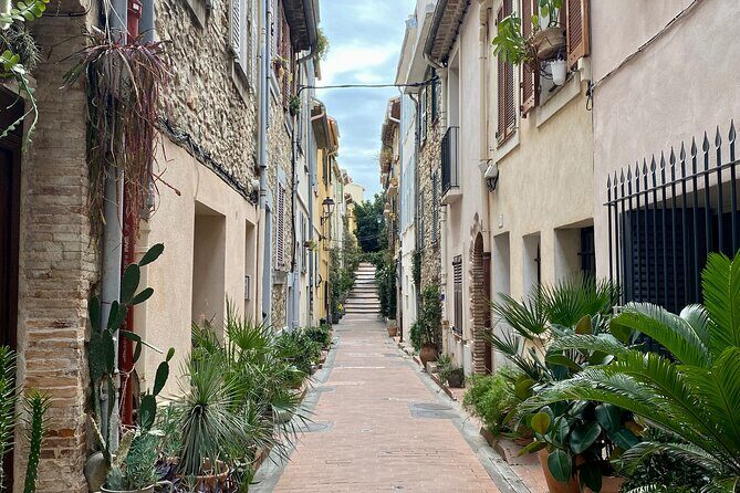 Antibes Tasting Tour - Final Thoughts