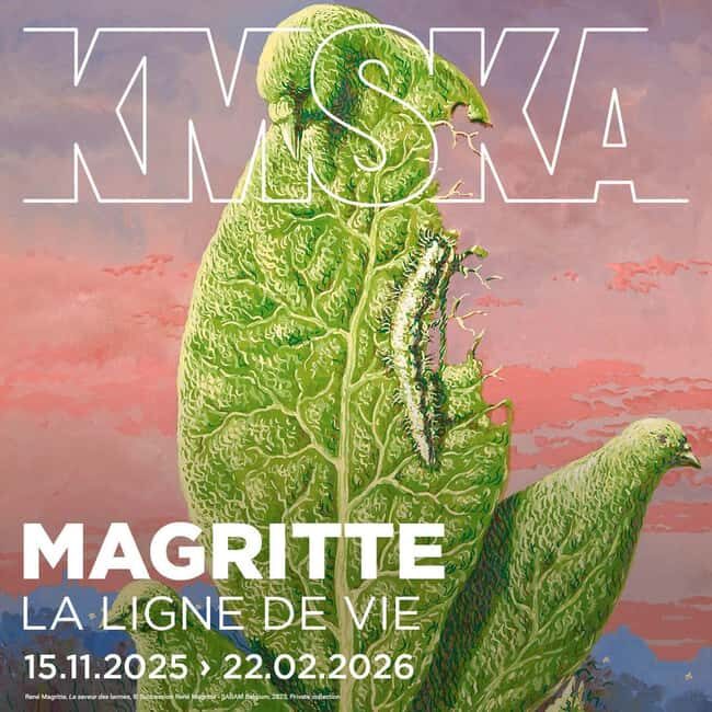 Antwerp: Royal Museum of Fine Arts Entry Ticket - A Closer Look at What You Can Expect