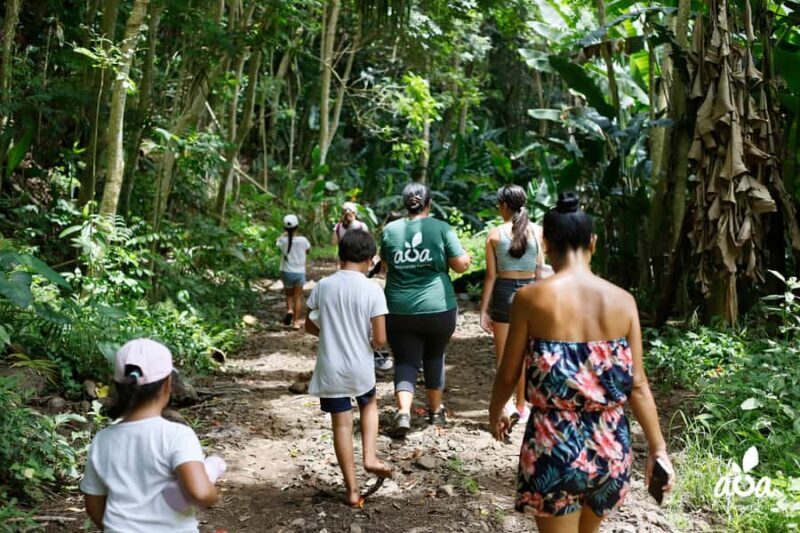 AOA Polynesian Forests - Educational Forest and Scavenger Hunt, Tahiti, West Coast - The Conservation & Education Approach