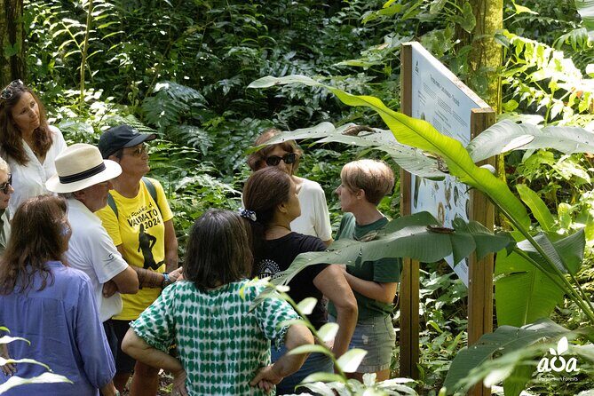 AOA Polynesian Forests - Educational Forest and Tahitian Trail Game DE - Who Is This Tour Best For?