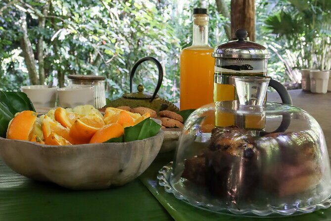 AOA Polynesian Forests - Tahiti Nature Immersion Day - Practical Tips for Your Day