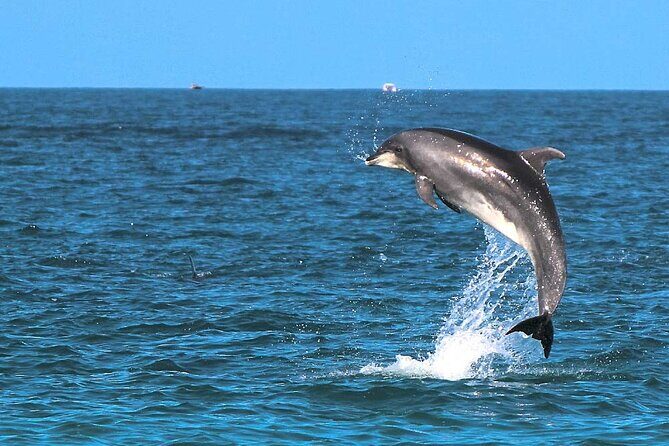 Aperitif in Luxury Private Tour - Practical Details