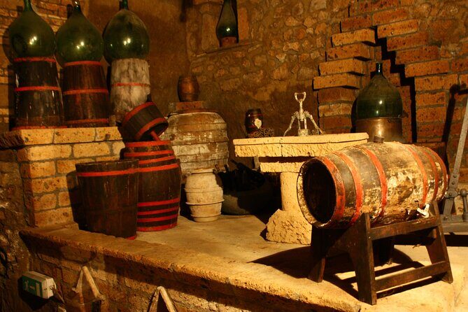 Aperitif in the famous underground caves of Orvieto - Who Should Consider This Experience?