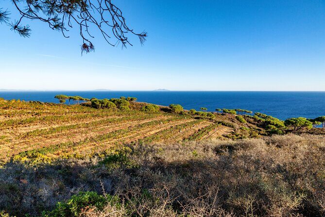 Aperitif on the Roof-Top Terrace at Tenuta delle Ripalte - Who Will Love This Experience?
