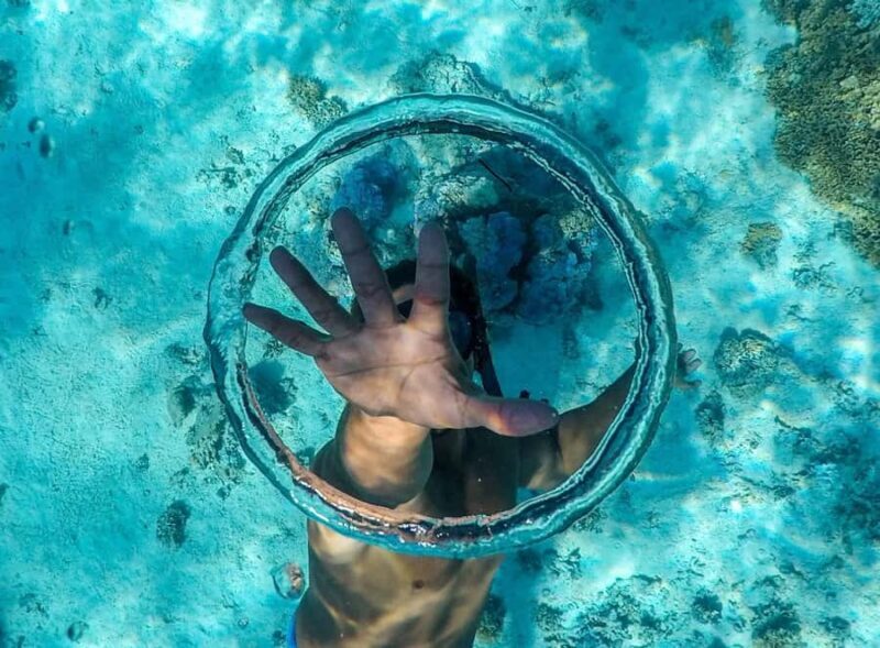 Apetahi day trip around Raiatea on a modern outrigger canoe - Who Would Love This Tour?