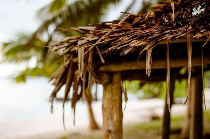 Apia Port: Cruise Guests Shore Excursion - A Deep Dive into the Samoa Shore Excursion  