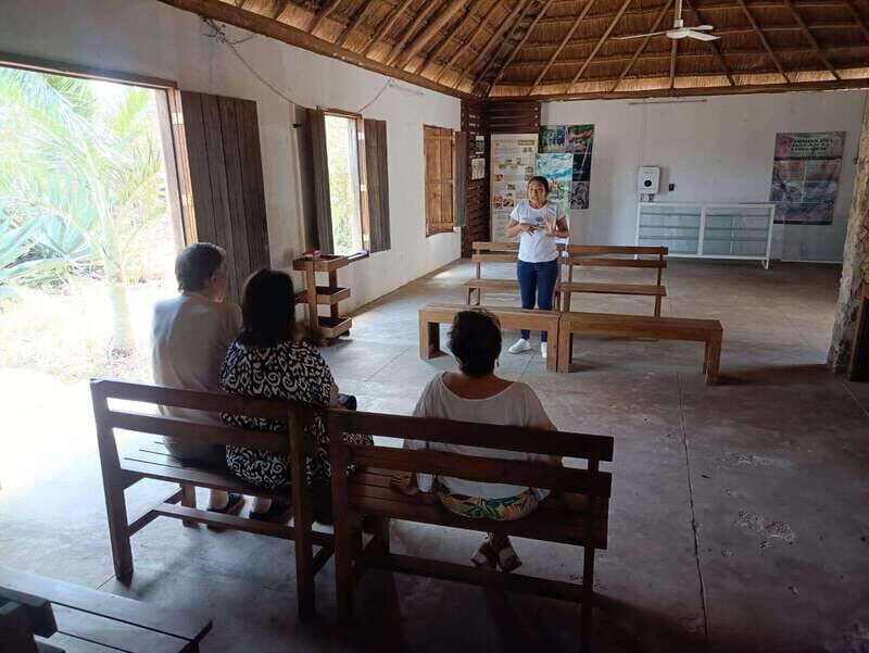 Apiary Tour (Bee tour) also Archeological site and salt Pond - What to Expect from the Apiary Tour