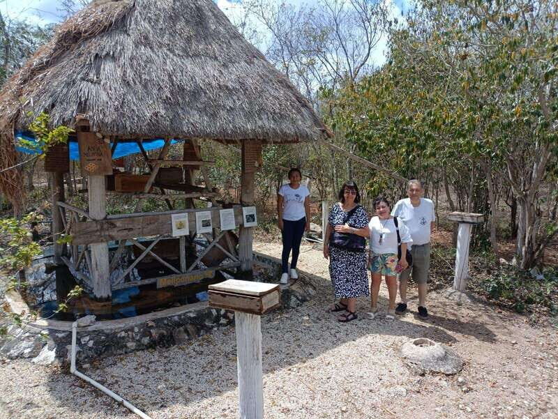 Apiary Tour (Bee tour) also Archeological site and salt Pond - Authentic Experiences and Insider Tips