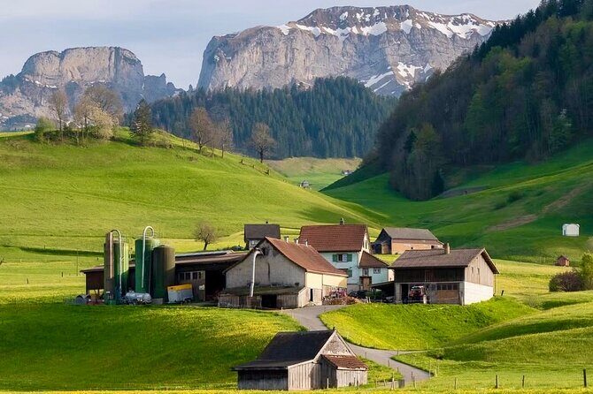 Appenzell Cow milking experience from Zurich with alpine scenery - Key Points