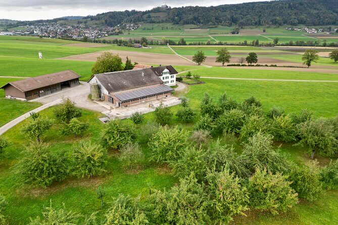 Appenzell Cow milking experience from Zurich with alpine scenery - Who Will Love This Tour?