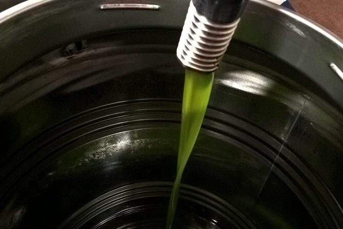 Apprentice Olive Oil taster for a day! - Key Points